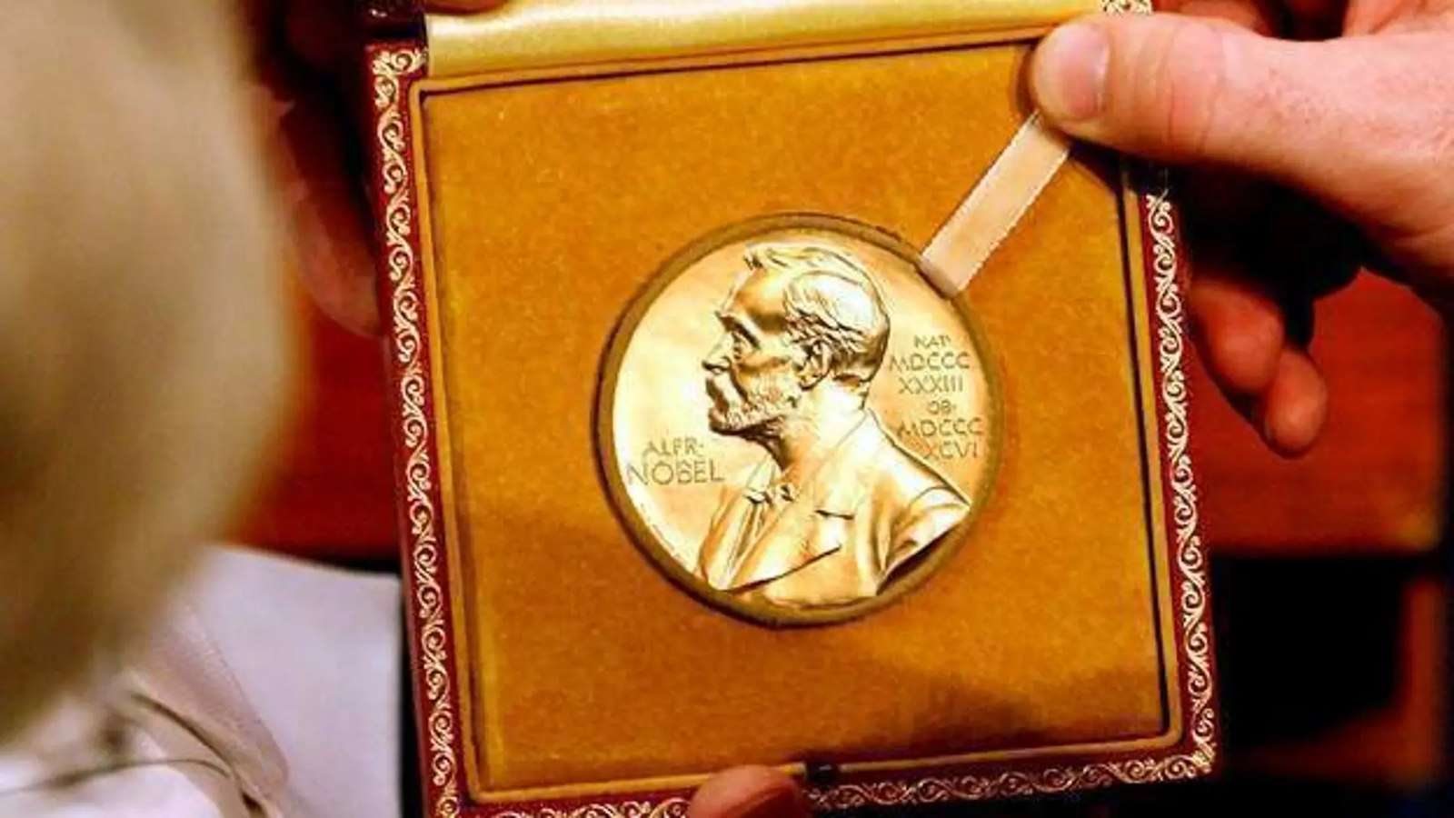 El premio Nobel de Medicina 2025 fue otorgado a Mary E. Brunkow, Fred ...